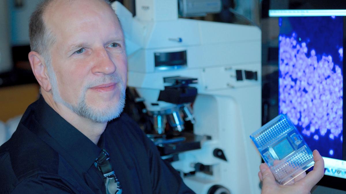 University of Tennessee Health Science Center researchers part of ...