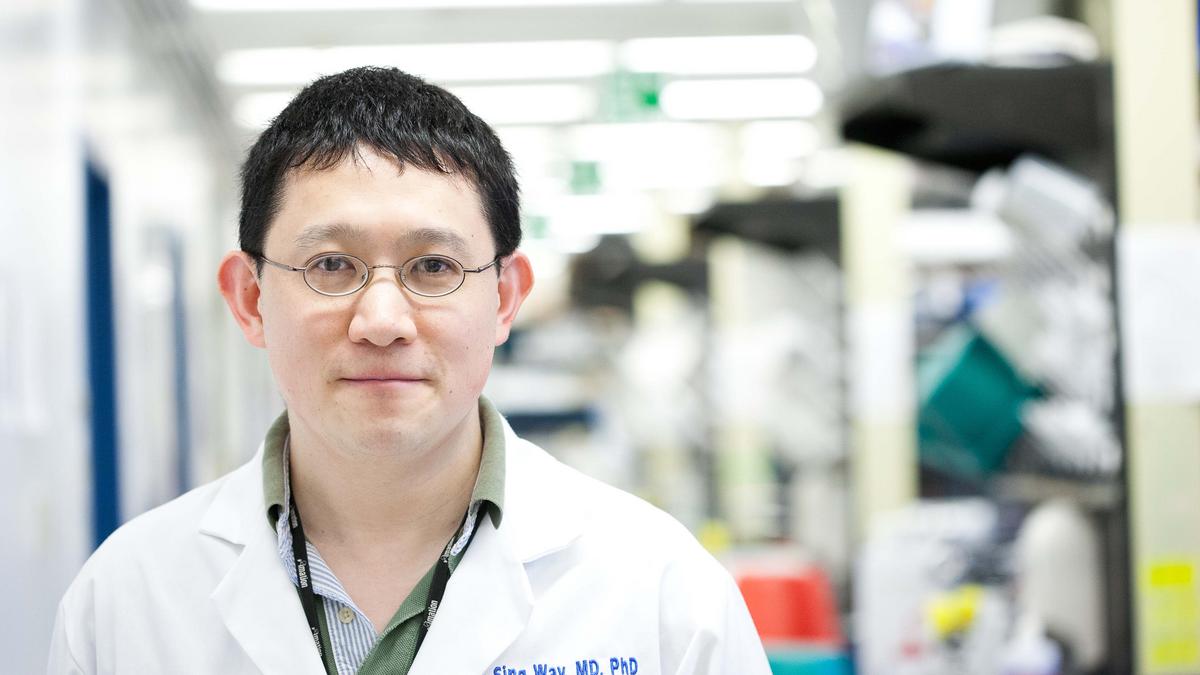 Cincinnati Children's scientists uncover way to prevent premature birth ...