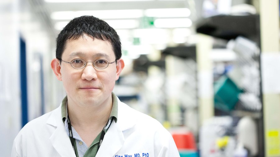 Cincinnati Children's scientists uncover way to prevent premature birth ...