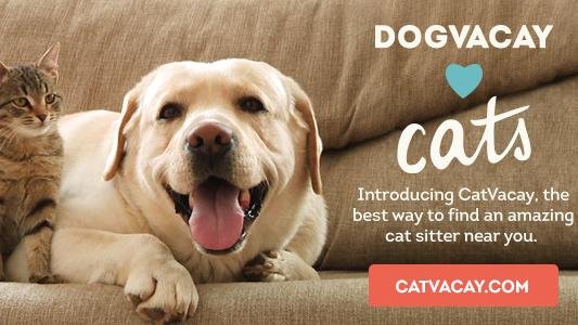 DogVacay launches CatVacay pet-sitting service - L.A. Business First