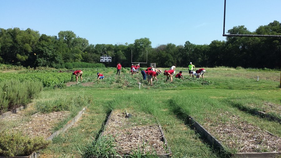 No. 29: Terracon Consultants Inc. - Dallas Business Journal