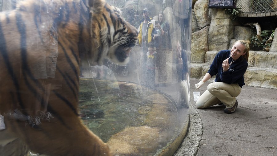 Picture This: Downtown Aquarium trainer behind the scenes (Slideshow ...