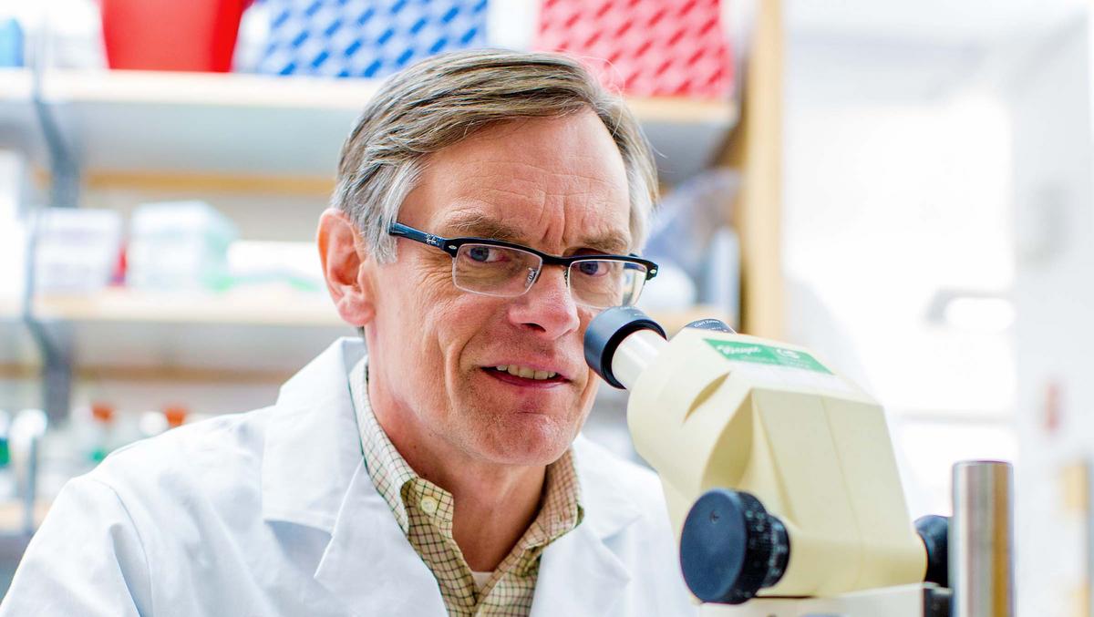 Passage Bio raises $110M Series B, its second raise in less than a year ...