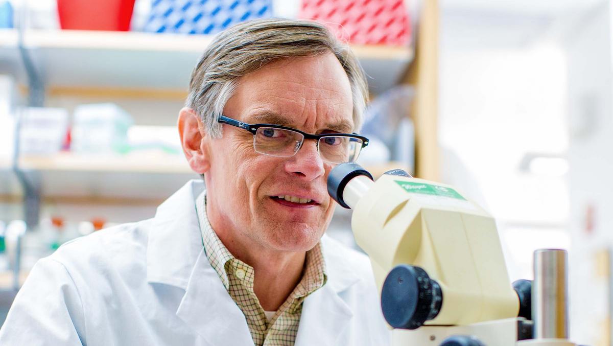 FDA approves Novartis gene therapy; here is how Penn researchers played ...