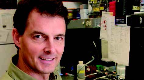 'Bubble boy' disease targeted by stem cell award to Stanford - San ...