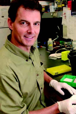 Stanford biotech spinout boosts sickle cell gene therapy plans - San ...