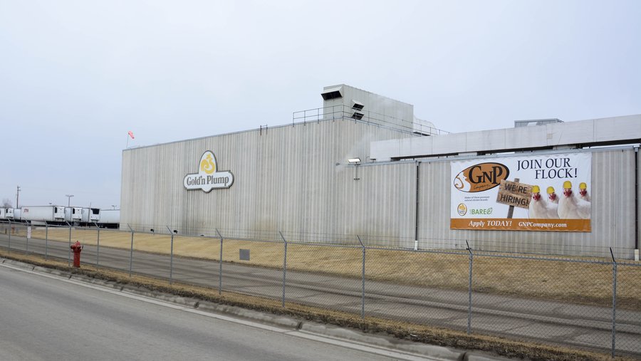 Sale of Gold'n Plump producer could impact St. Cloud jobs - Minneapolis ...