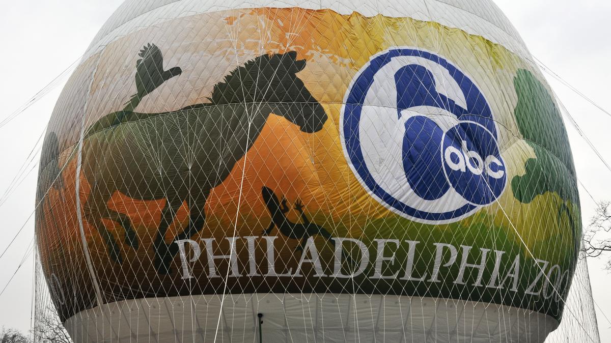 Zoo Balloon Philadelphia Phillies