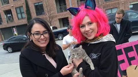 Austin cat café sets opening date - Austin Business Journal