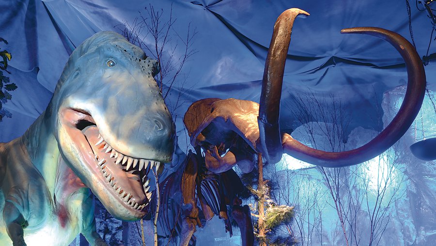 Kona Grill CEO is out; Marcus Jundt, Rainforest Cafe founder Steve ...