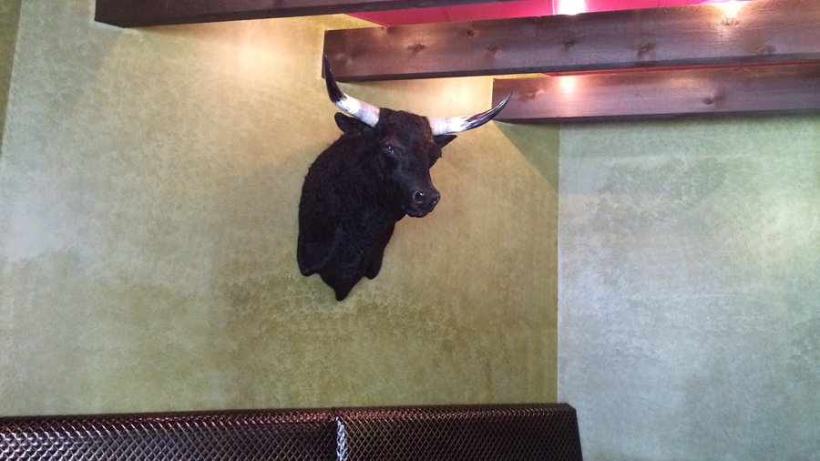 Agave Maria (5) by Nichols