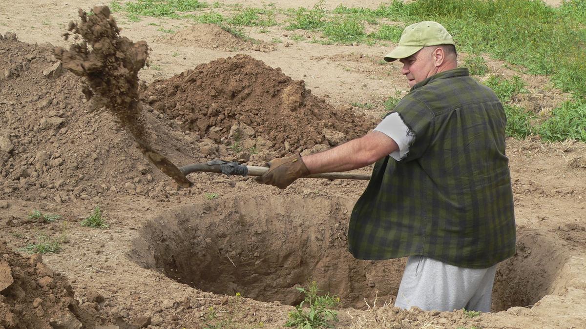 Doing yardwork? Dig safely by calling 811 first - Phoenix Business Journal