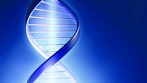LabCorp (NYSE: LH) partners with Japanese firm on precision approach to ...