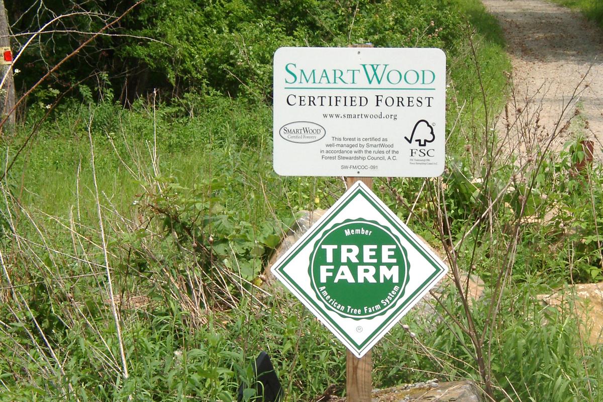 LEED lives as NC General Assembly revises forestry bill - Charlotte ...