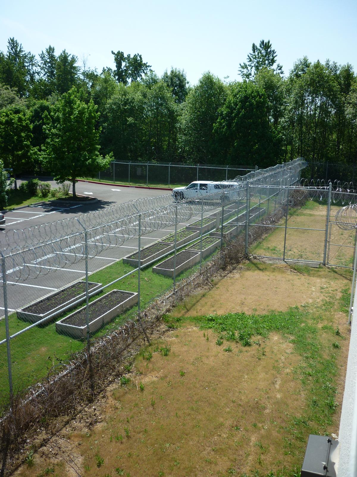 Multnomah County unveils Inverness Jail's community garden - Portland ...