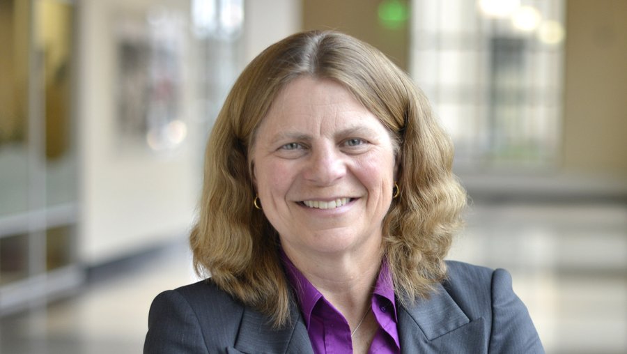 Penny Wheeler retiring as Allina Health CEO, Lisa Shannon named ...