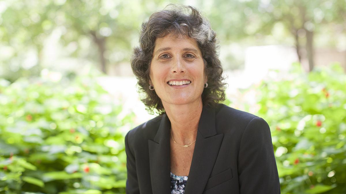 Meet Nancy Green Schreiber, Dean, Bill Munday School of Business ...