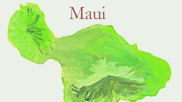 Census shows Hawaii among fastest-growing states, Maui County ranks ...