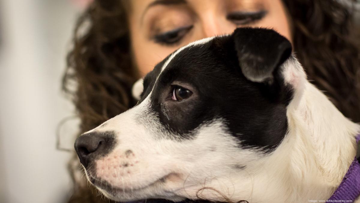 Heavenly Paws Pet Aquamation offers water-based pet cremation process ...