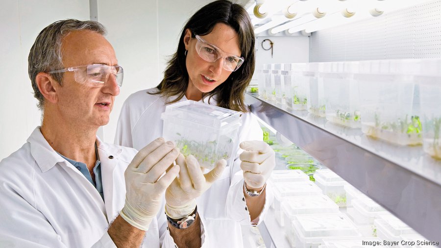 Bayer CropScience