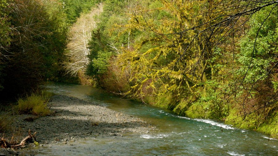 L1040870 001