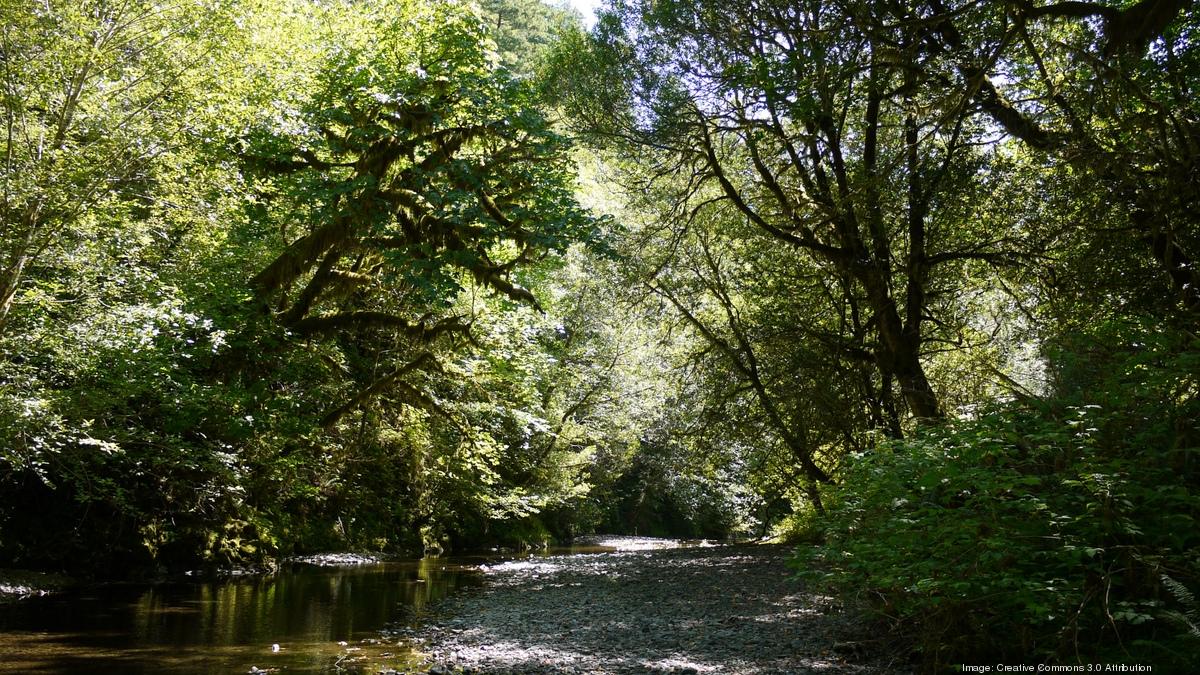 Ecotrust forest deal returns an Oregon tribe to its ancestral lands ...