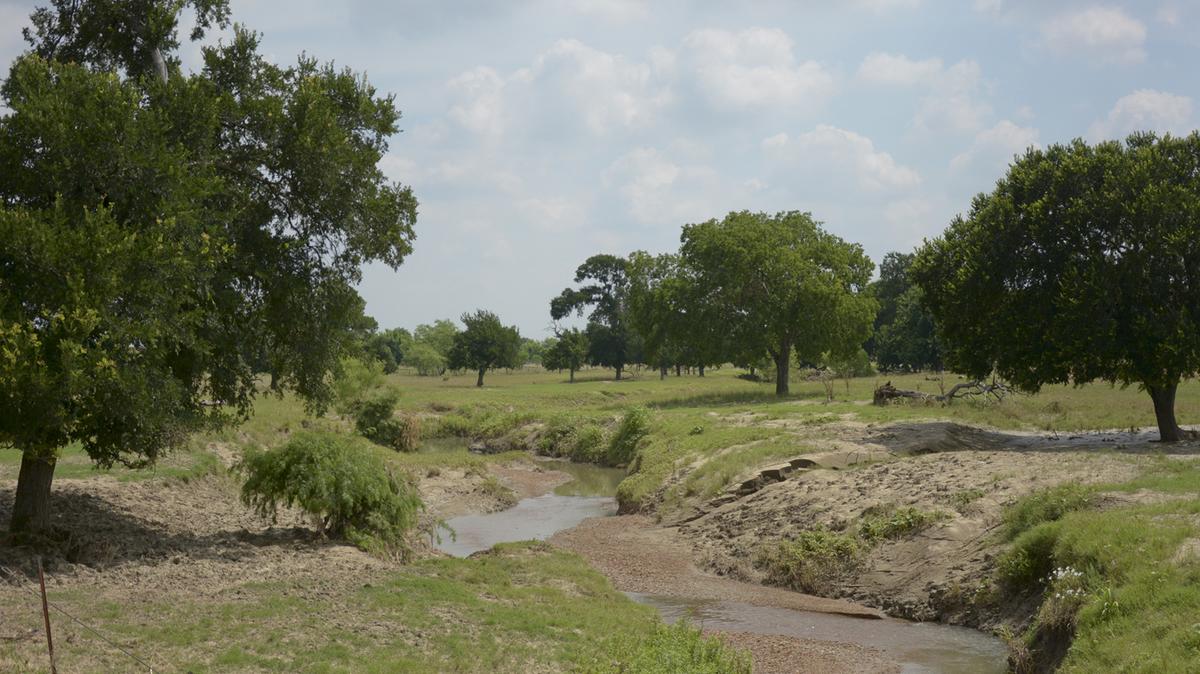 Rural land sales slowing around DFW; prices remain high - Dallas ...