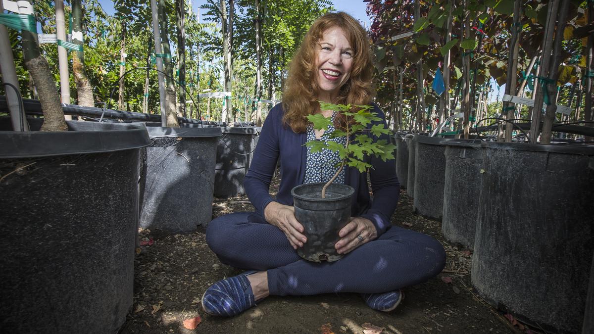Our City Forest's Rhonda Berry: Cultivating trees and relationships ...