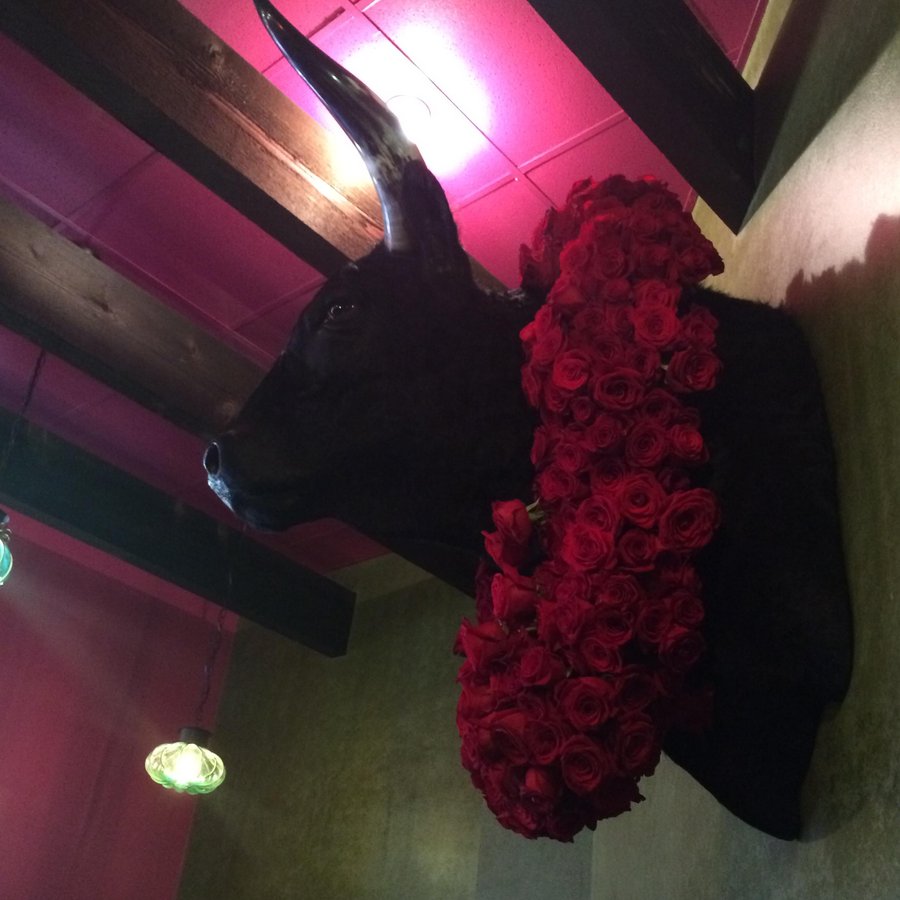 Agave Maria, new Downtown Memphis Mexican restaurant, held a preview ...