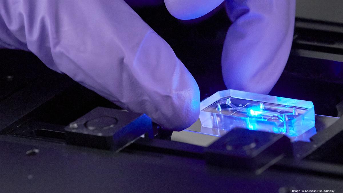 Harvard's Wyss Institute gets $131M gift from founder - Boston Business ...