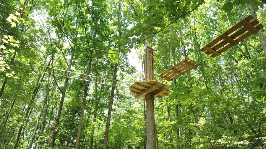 Take a virtual tour of Go Ape's new Louisville treetop adventure course ...