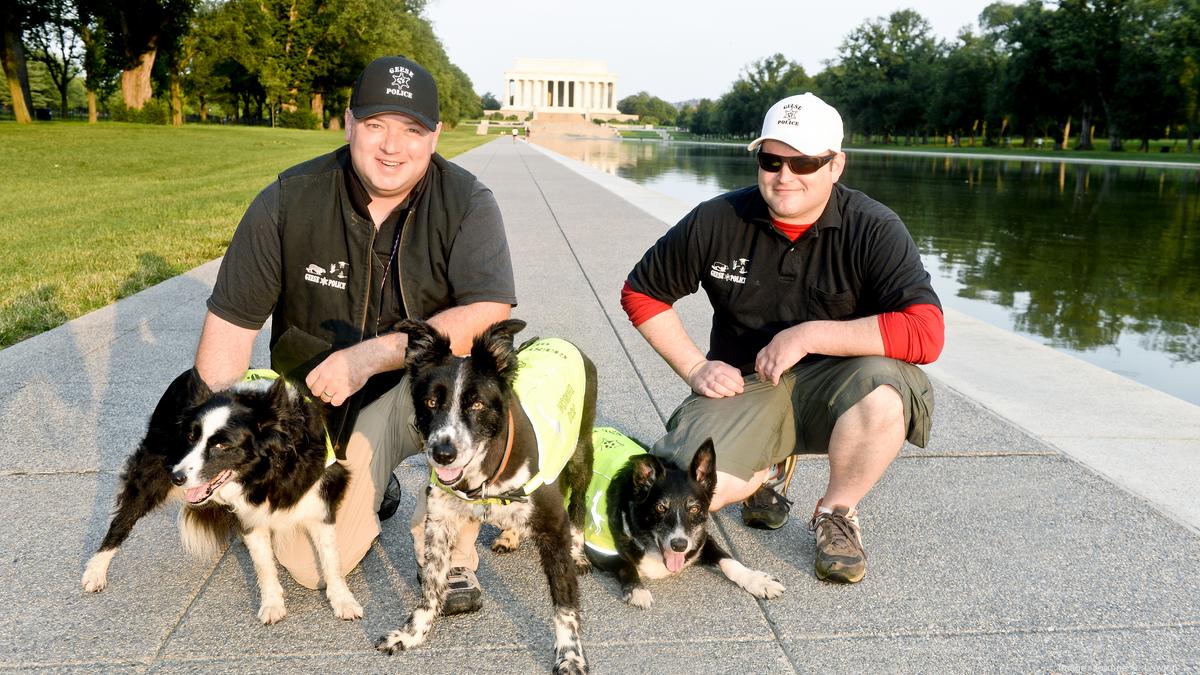 Geese Police enlists border collies to patrol geese on the National ...