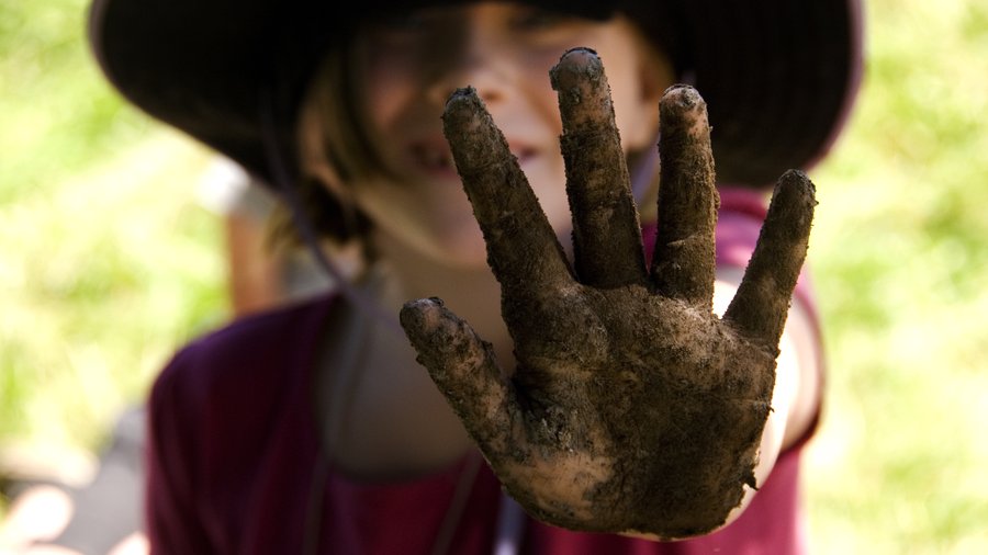 Portland State University, Zenger Farm to extend CSA reach - Portland ...