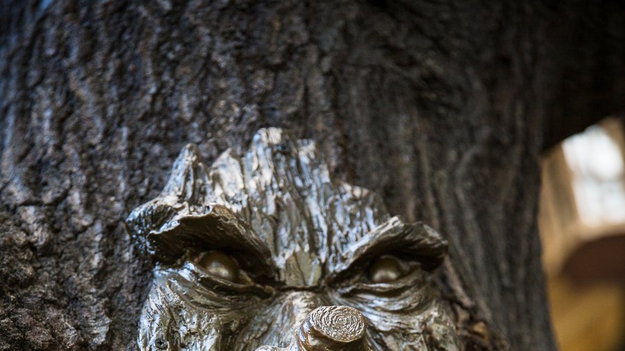 Sneak Peek: Raleigh Beer Garden (Slideshow) - Triangle Business Journal