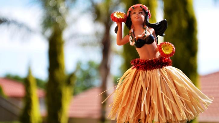 Jimmy Hula's opens in Altamonte Springs this week - Orlando Business ...