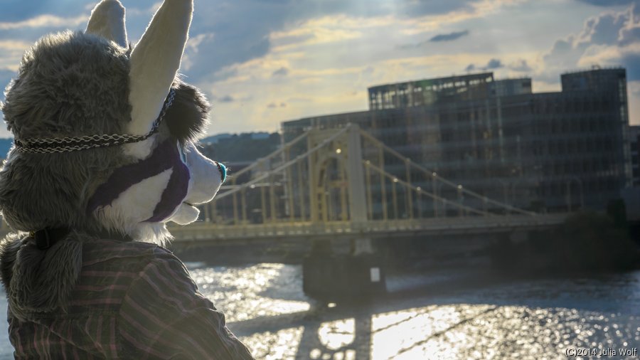 Here's what to expect from Anthrocon 2015 - Pittsburgh Business Times