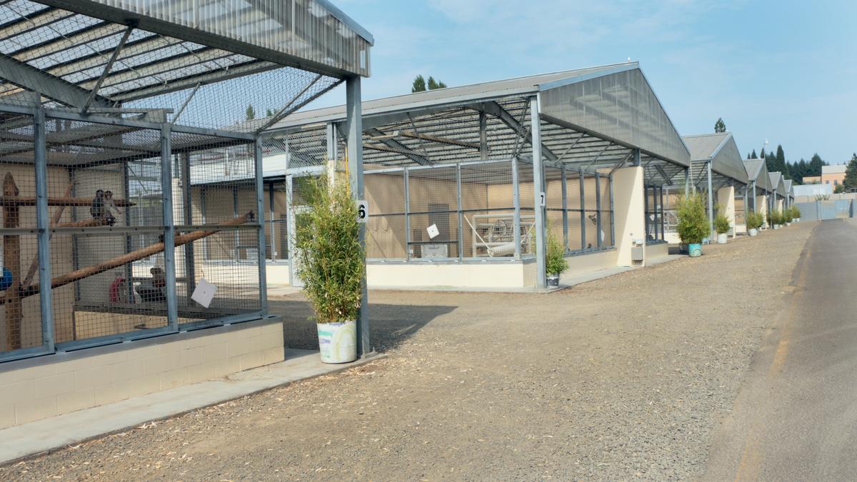 OHSU's Shoukhrat Mitalipov on the 'CRISPR' embryo technology making ...