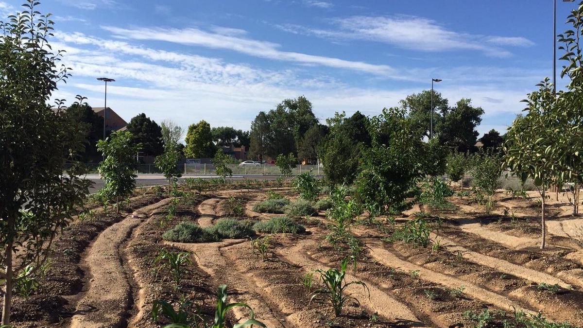 Development company secures millions in bonds, paving the way for a ...