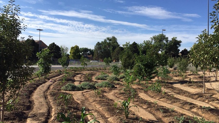 Development company secures millions in bonds, paving the way for a ...