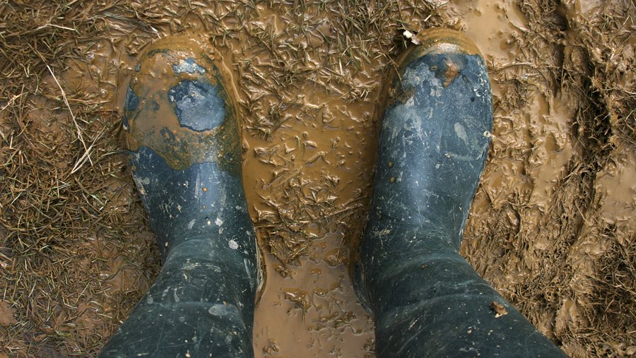 Keys to surviving the 'murky middle' of business growth - The Business ...