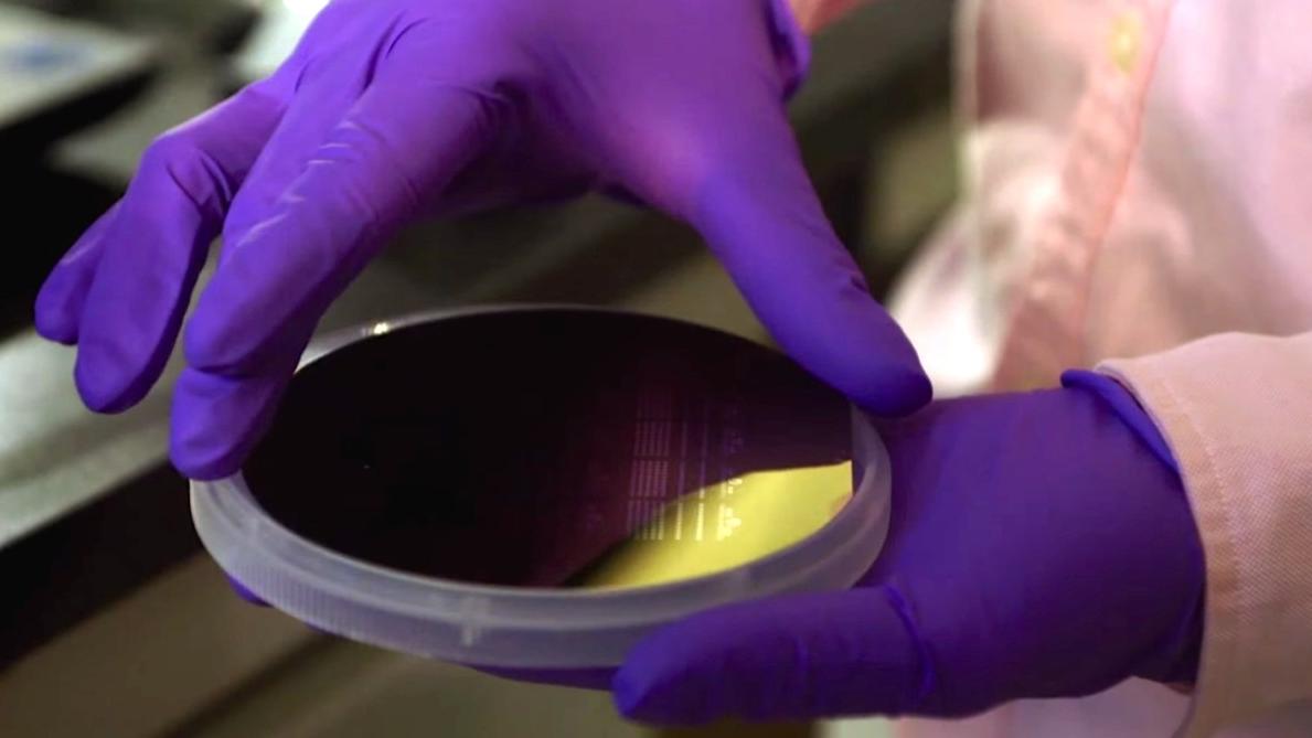 Graphene Frontiers, Chromocell, ConnectDER leaders tout incubator space ...