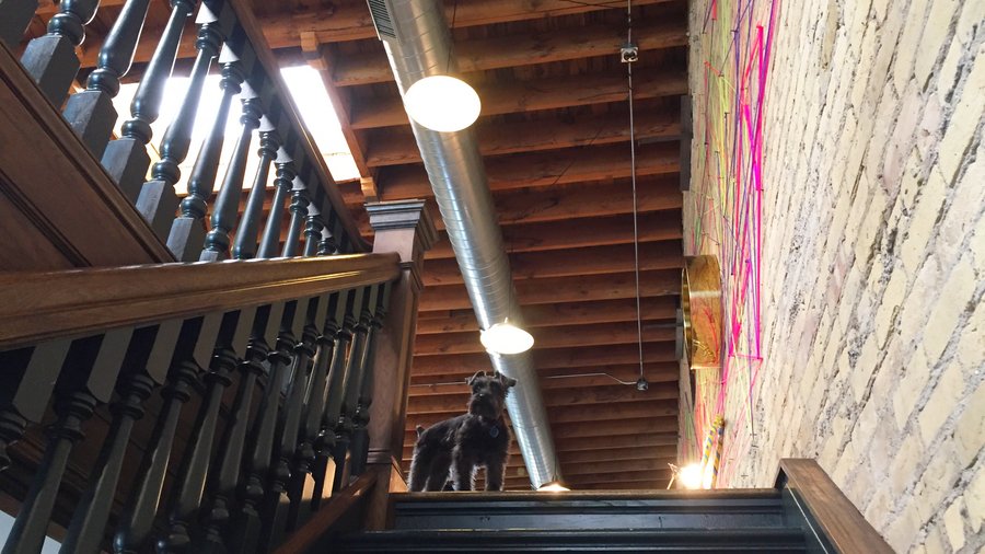 Cool Offices: Lola Red is living large in North Loop (Photos ...
