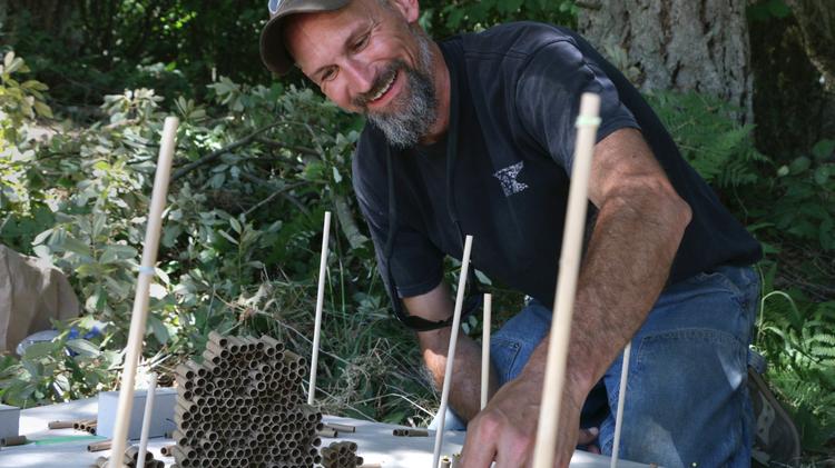 Pickathon gets another 10 years in Happy Valley - Portland Business Journal