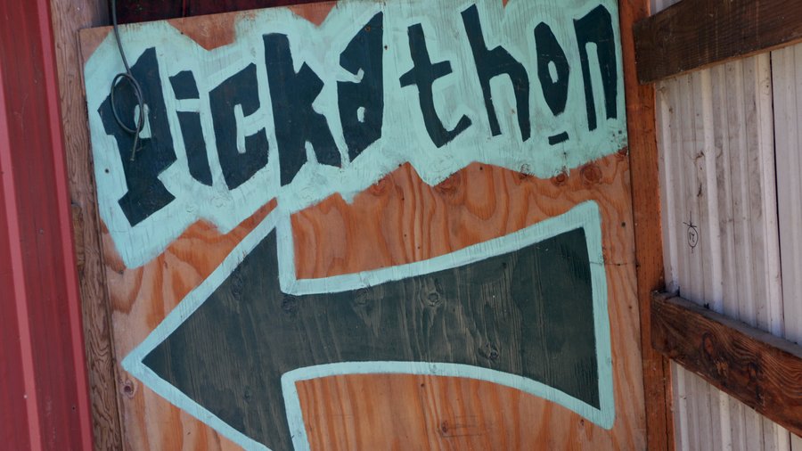 Pickathon signage