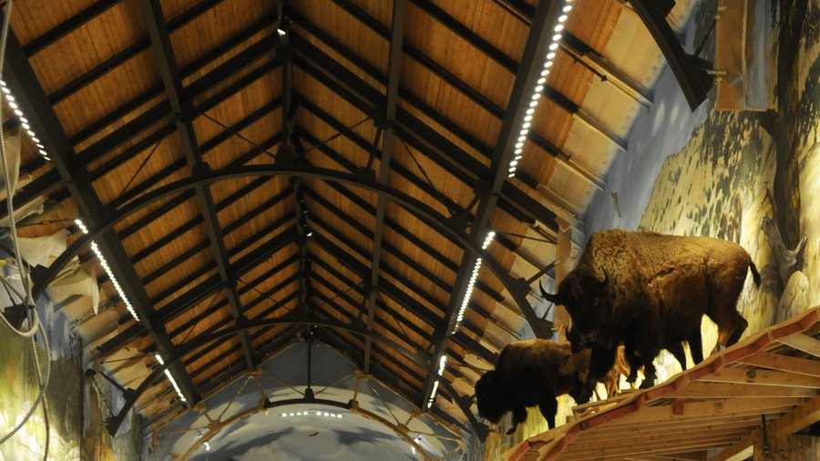 Sneak peek inside Rocklin's new Bass Pro Shops store - Sacramento ...