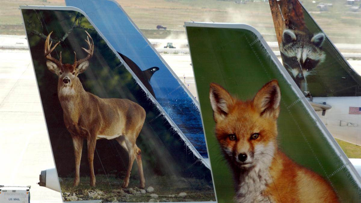 Frontier Airlines introduces 'The Works,' a bundled ticket pricing ...