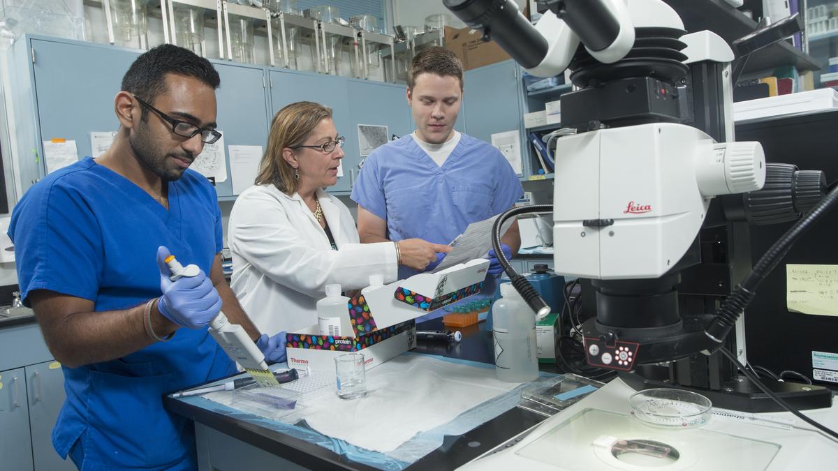 Midwestern University looks to ease doctor shortage with Iasis ...