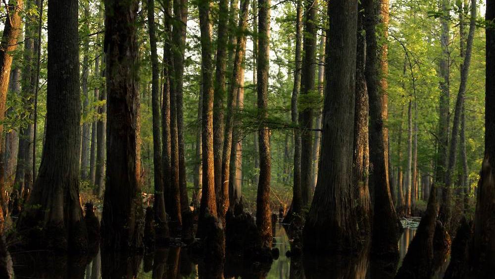 The Wolf River Conservancy received national accreditation from the ...