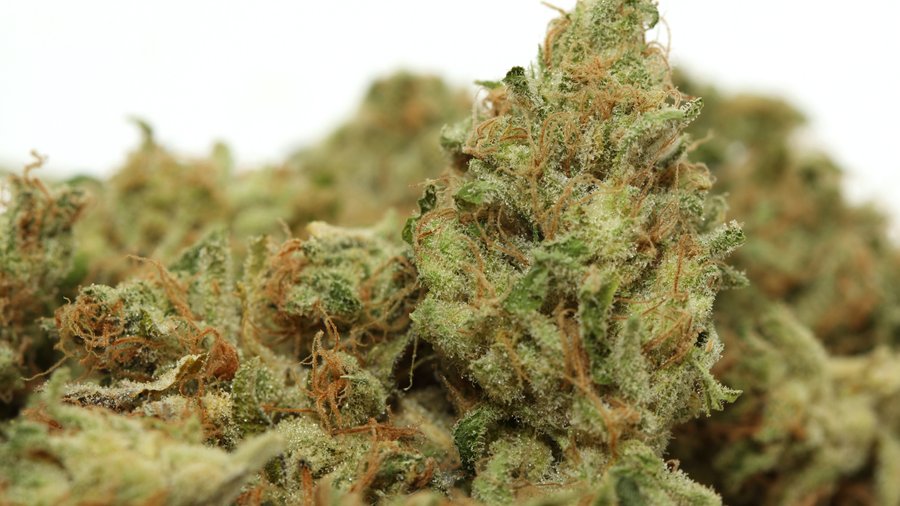 More than 100 apply to be WA marijuana consultant