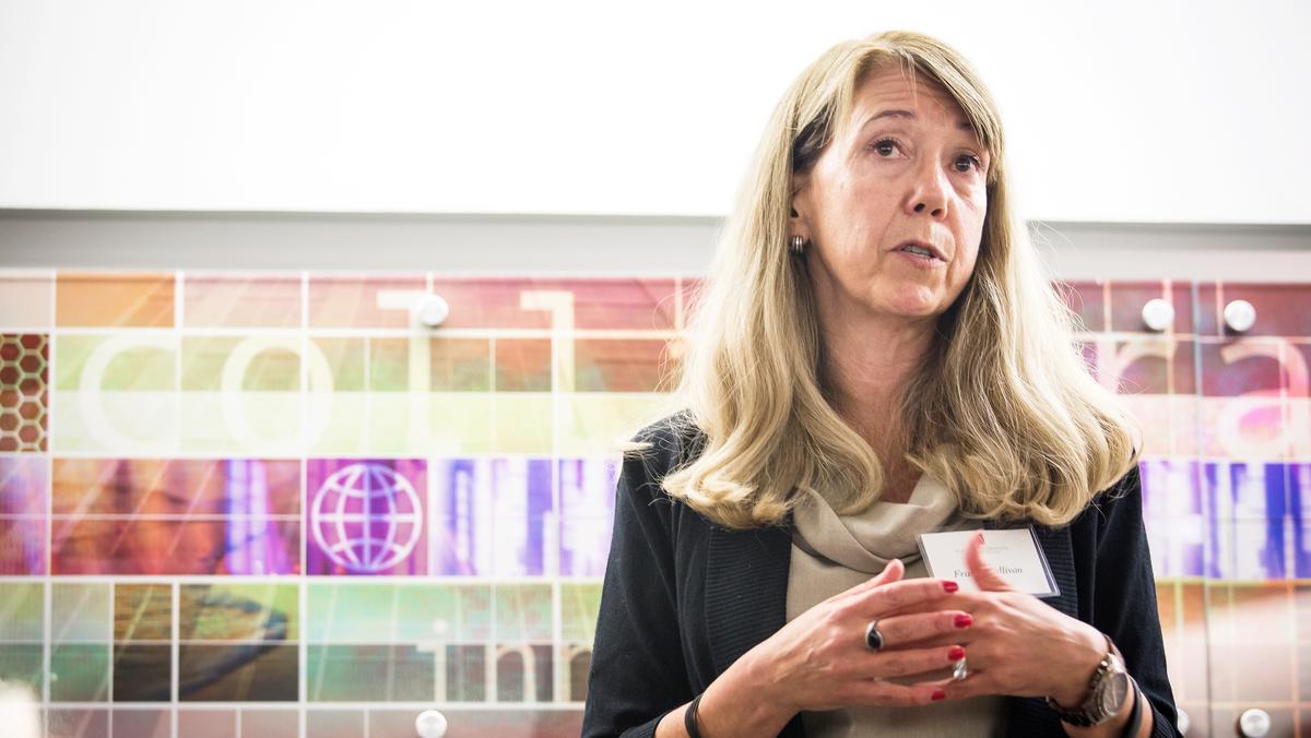 IBM’s 1980s-era RTP campus to get millennial facelift - Triangle ...